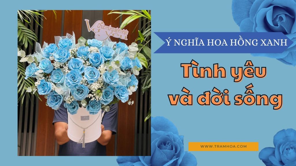 Ý Nghĩa Hoa Hồng Xanh - Tình Yêu Và đời Sống | Trạm Hoa