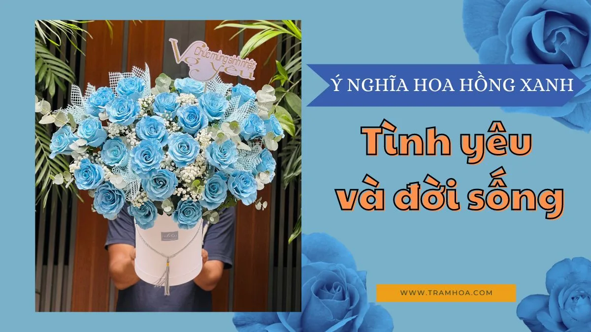 Ý nghĩa hoa hồng xanh - Tình yêu và đời sống - Trạm Hoa